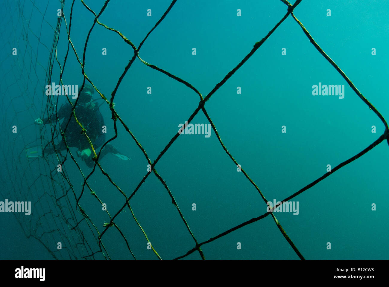 South africa nets hi-res stock photography and images - Alamy