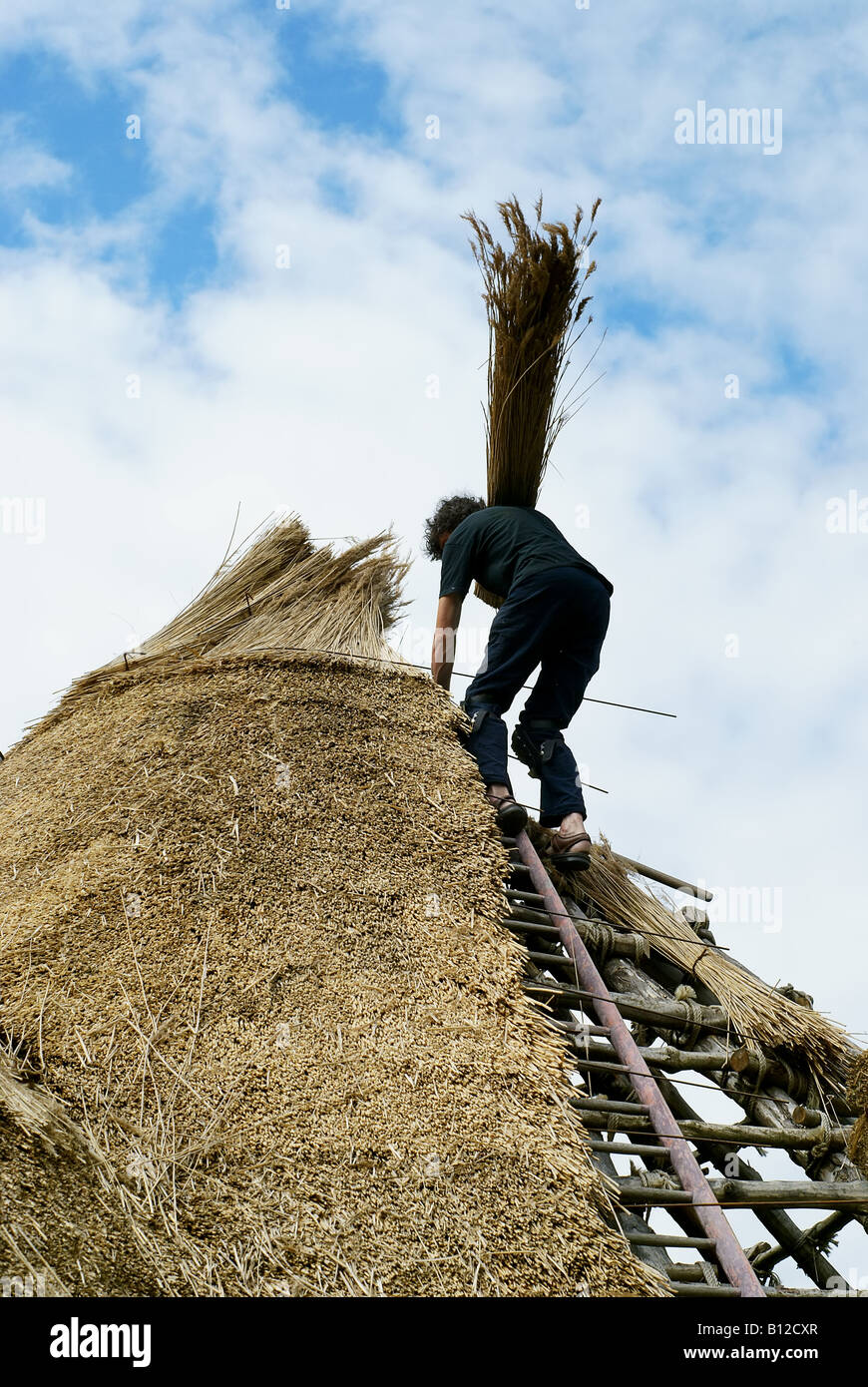 Thatcher at work Stock Photo - Alamy