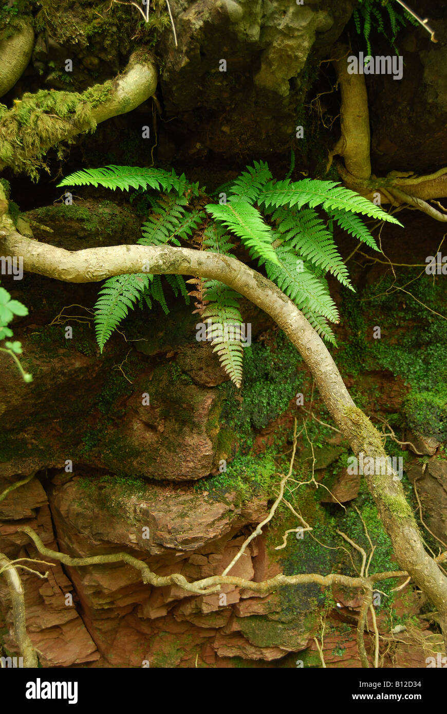 Glen Feochan, Kilmore, Oban, Argyll, Scotland, UK Stock Photo - Alamy
