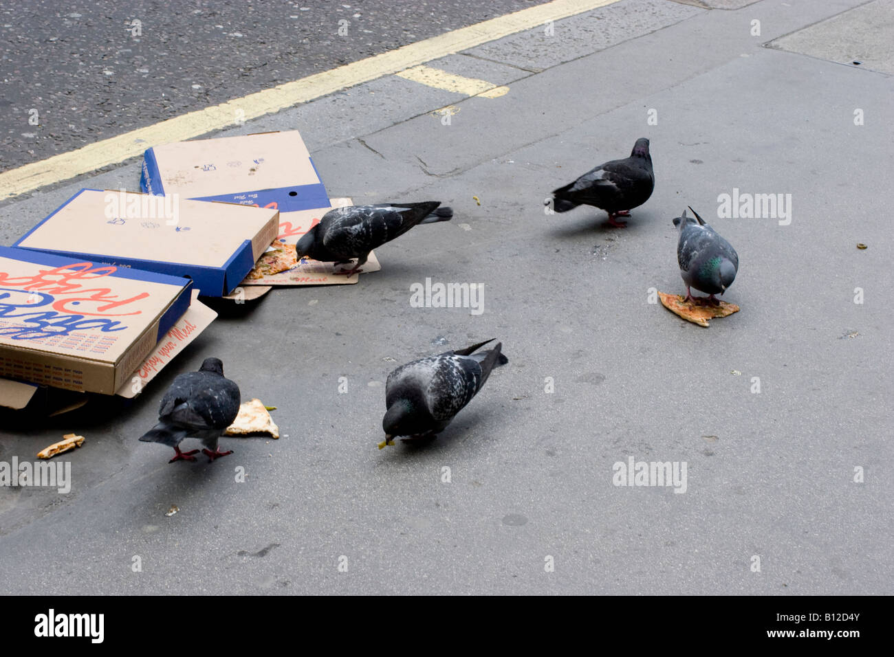 Pigeons eating pizza fast food from pavement City of London UK Stock ...