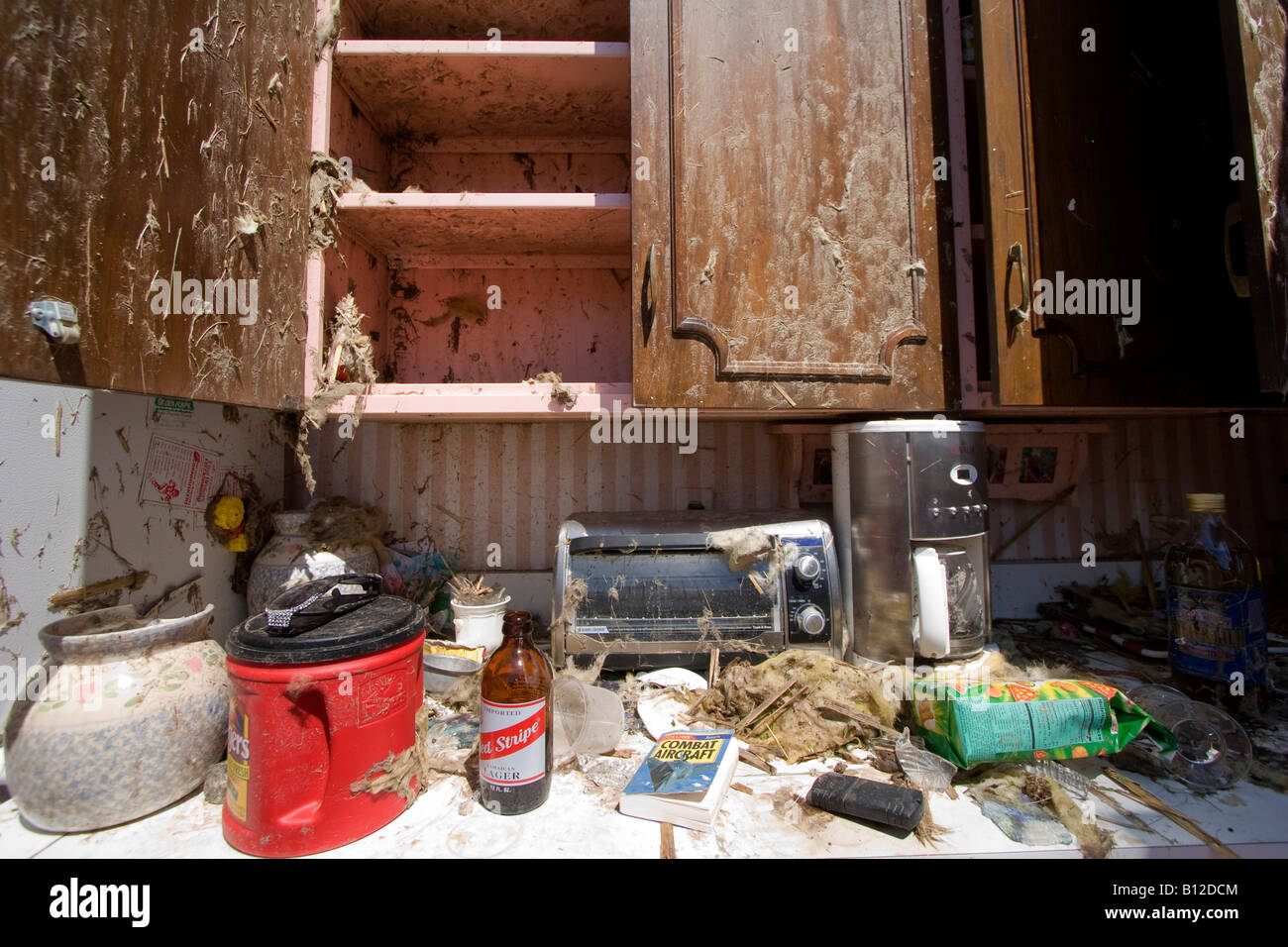 Tornado damage incredible hi-res stock photography and images - Alamy
