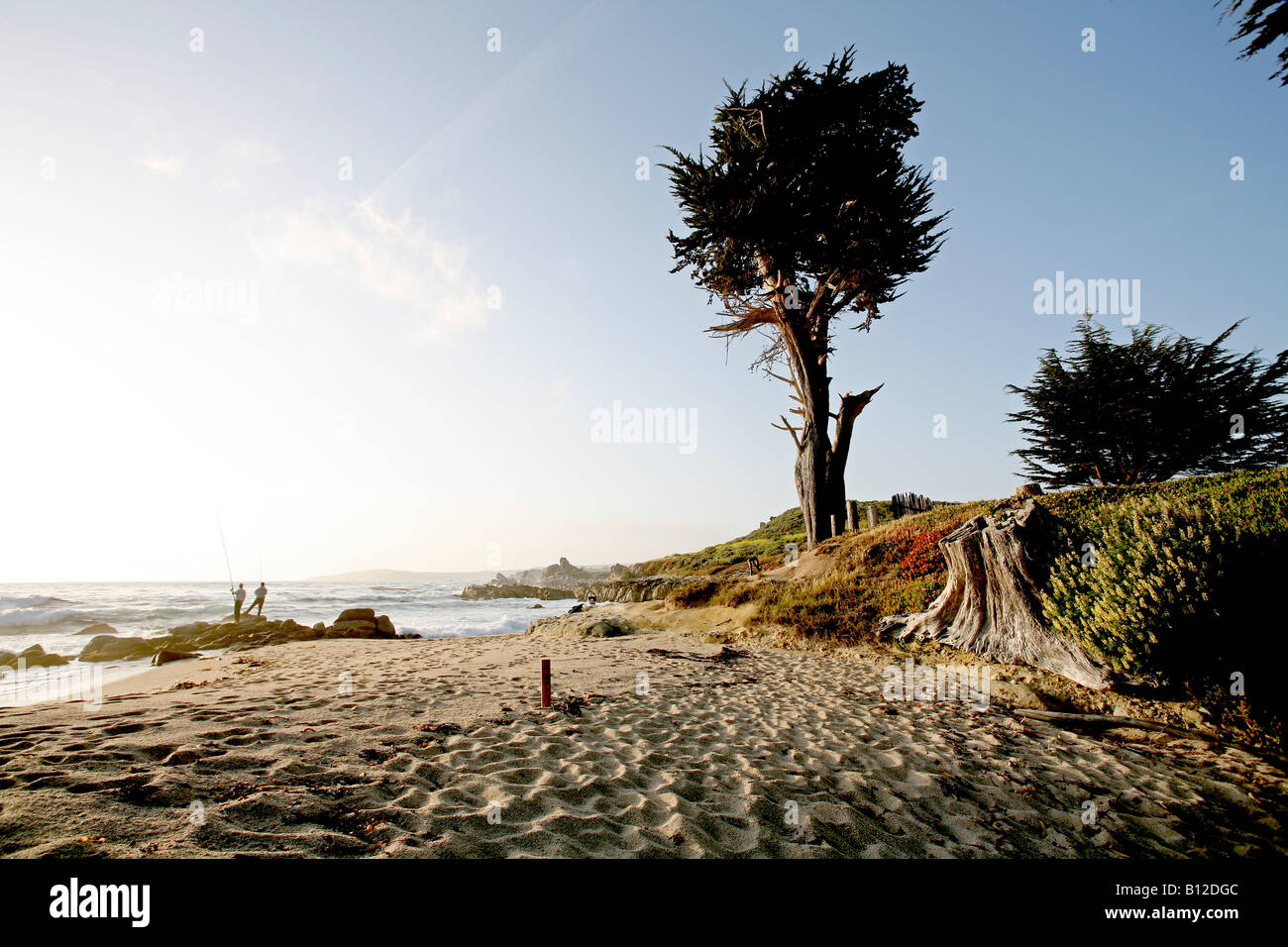 Carmel Beach California USA Stock Photo - Alamy