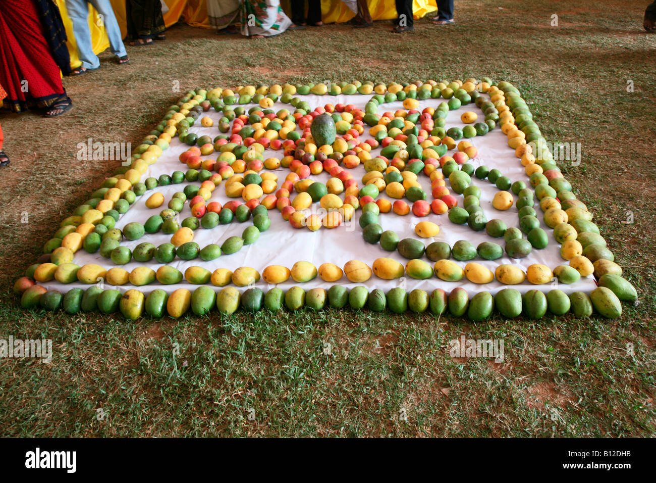 Mangoes on display Stock Photo - Alamy