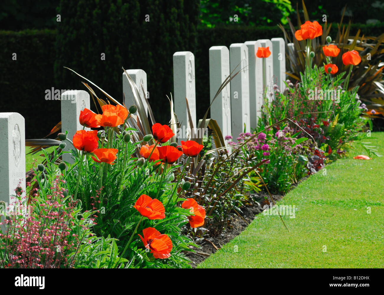 Headstones in World War One war cemetery Ramparts Cemetery also known ...