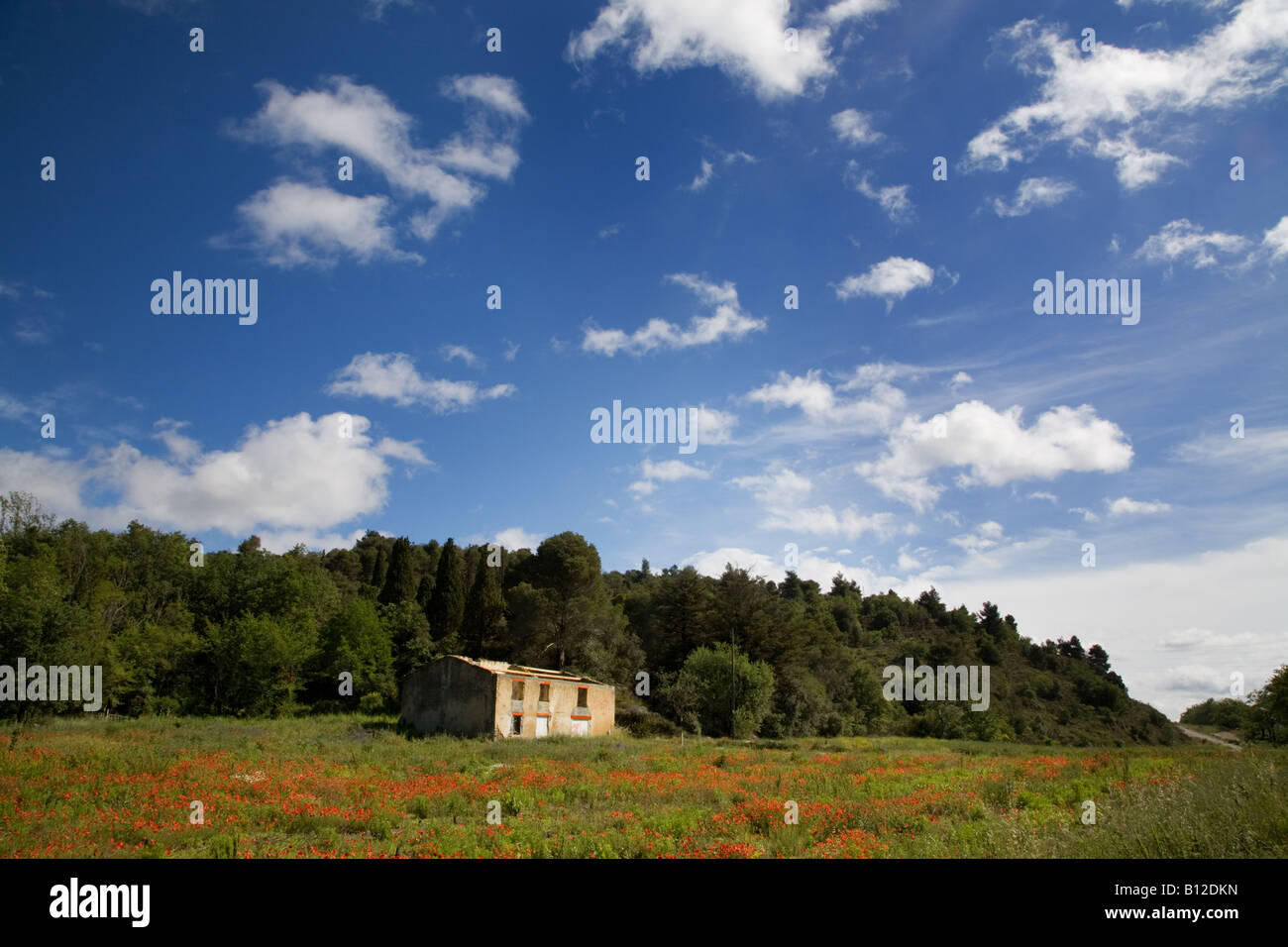 French landscape of a poppy field against a spring sky with old barn in ...