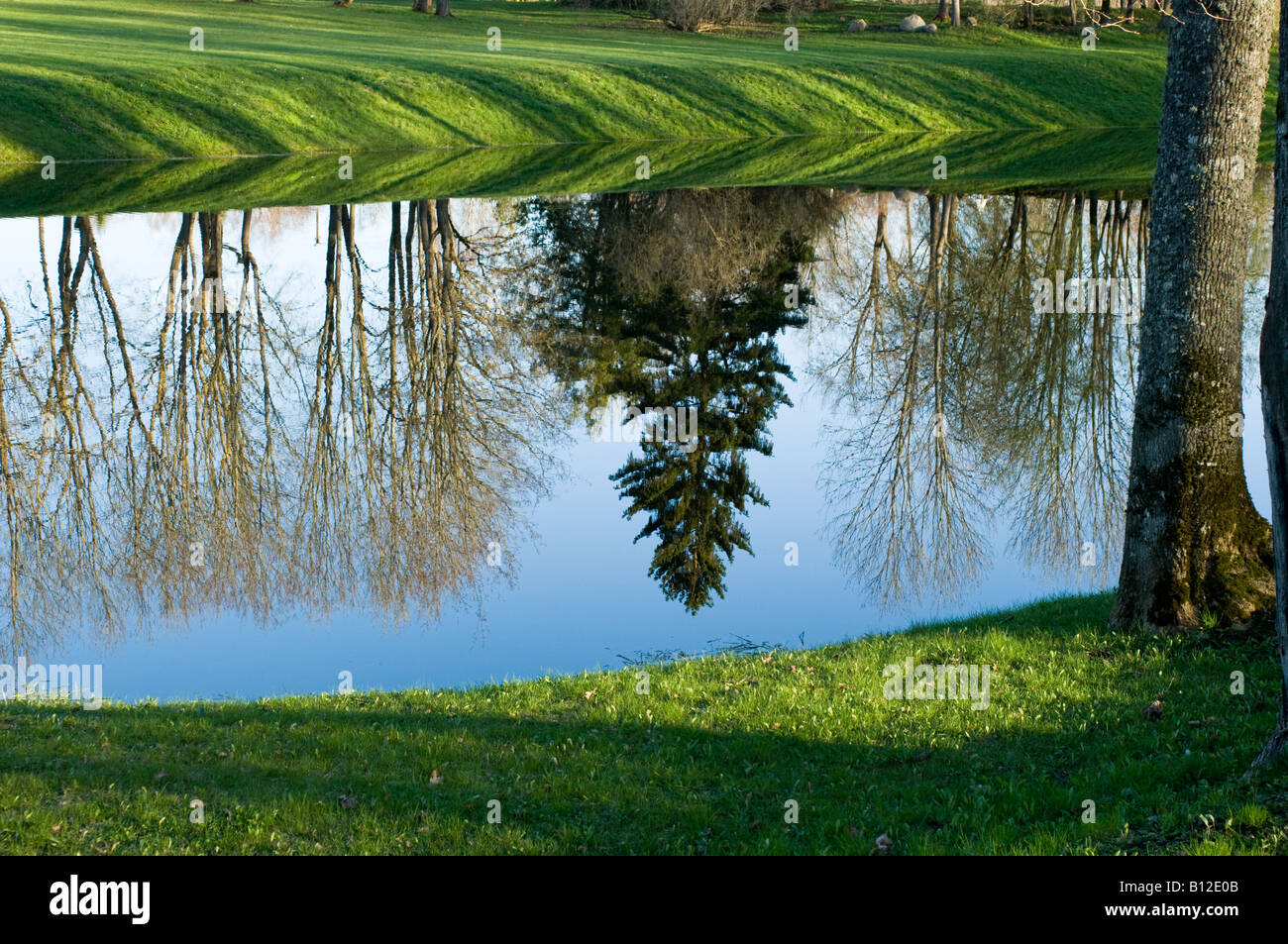 Reflection in the lake Stock Photo - Alamy