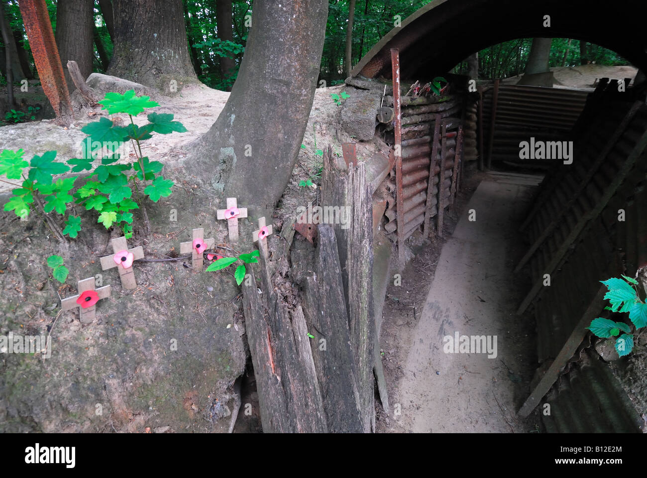 Preserved World War One trenches at Hill 62 Ypres Salient Stock Photo ...