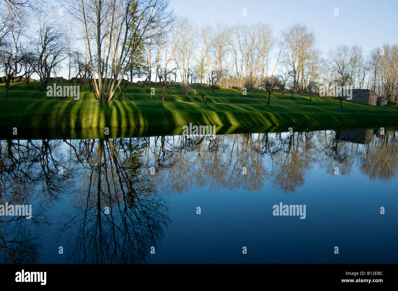 Reflection in the lake Stock Photo - Alamy