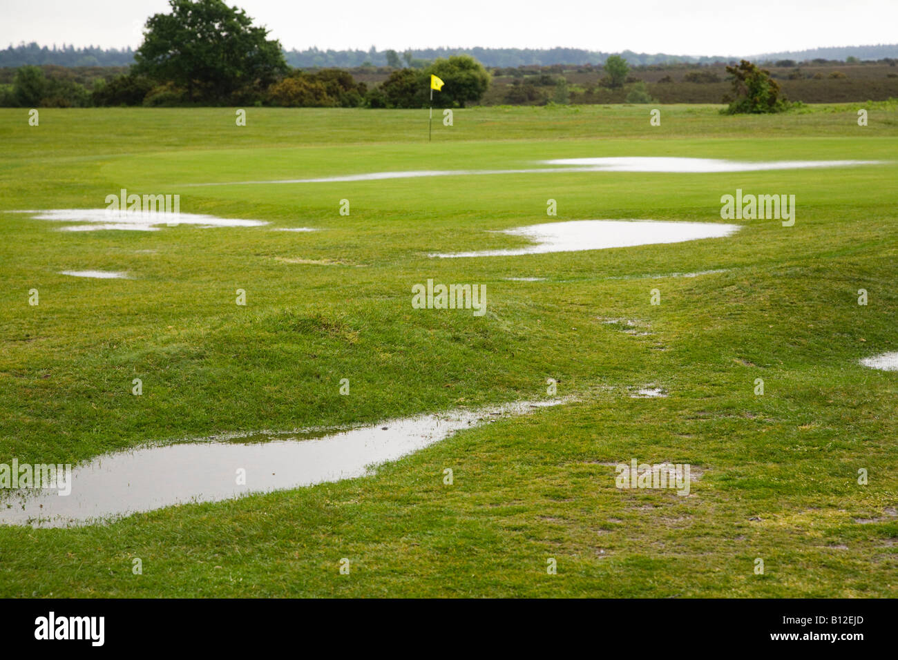 Waterlogged golf course at Burley in the New Forest. Hampshire. UK ...