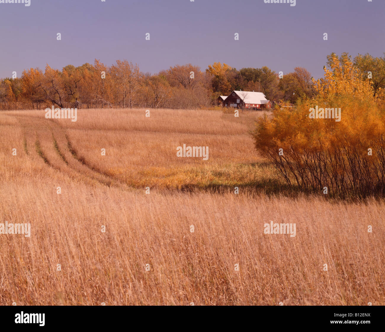Scenic Wheat Farm Stock Photo - Alamy