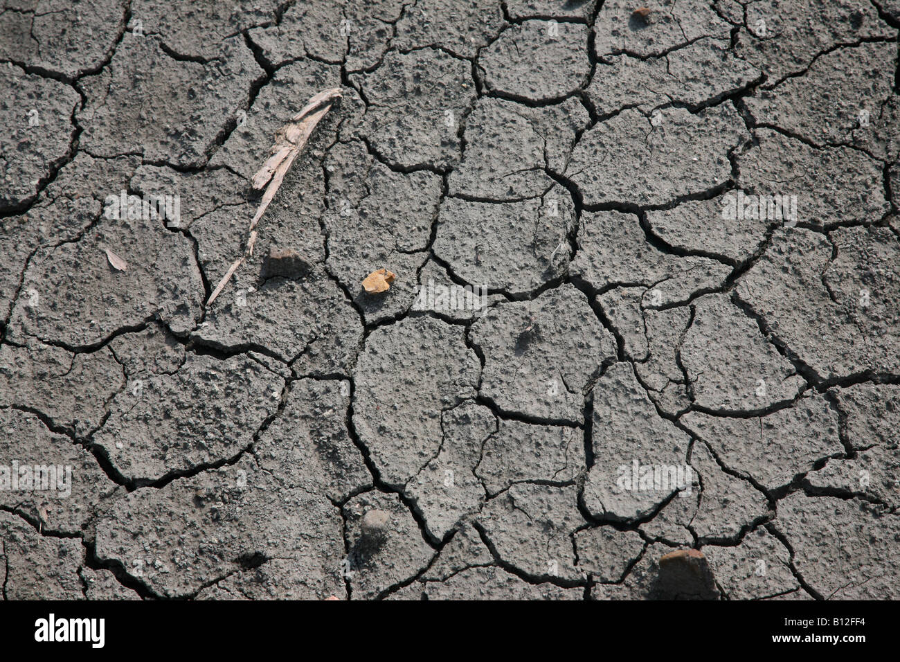Mud Volcano at Baratang Island of Andaman,India Stock Photo - Alamy