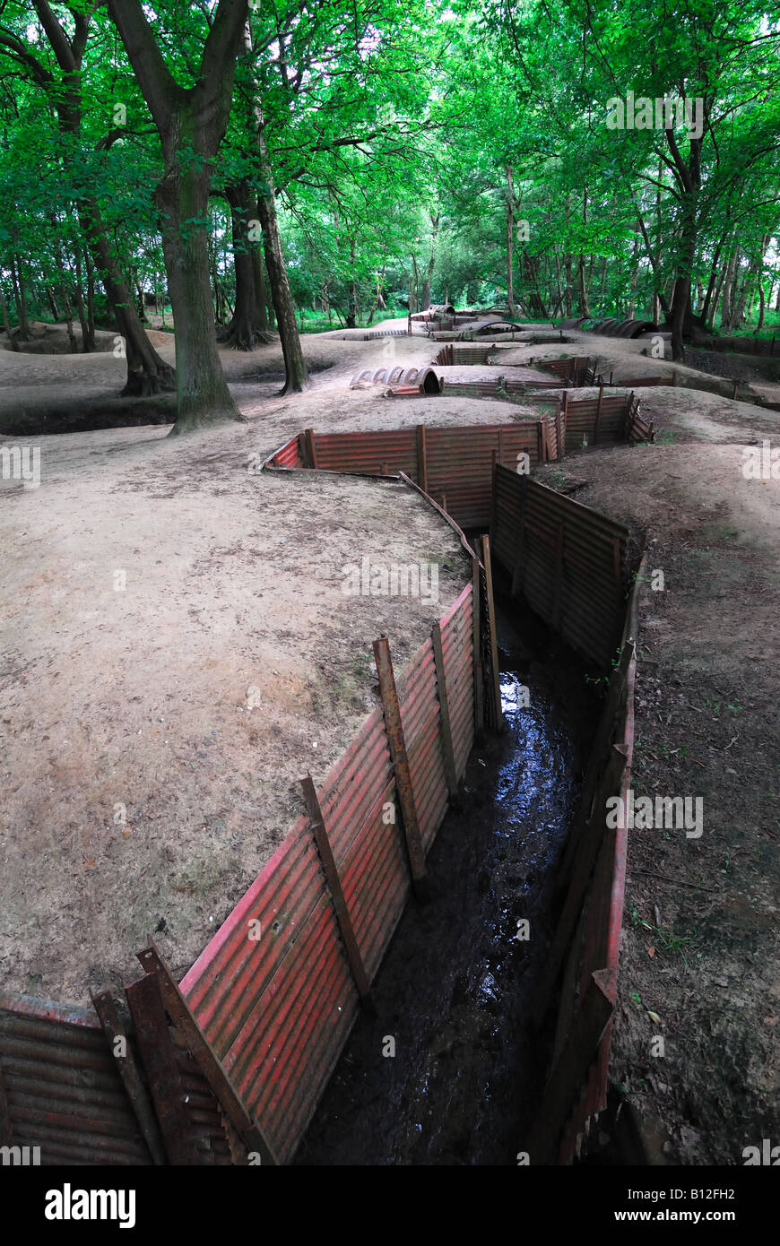 Preserved World War One trenches at Hill 62 Ypres Salient Stock Photo ...