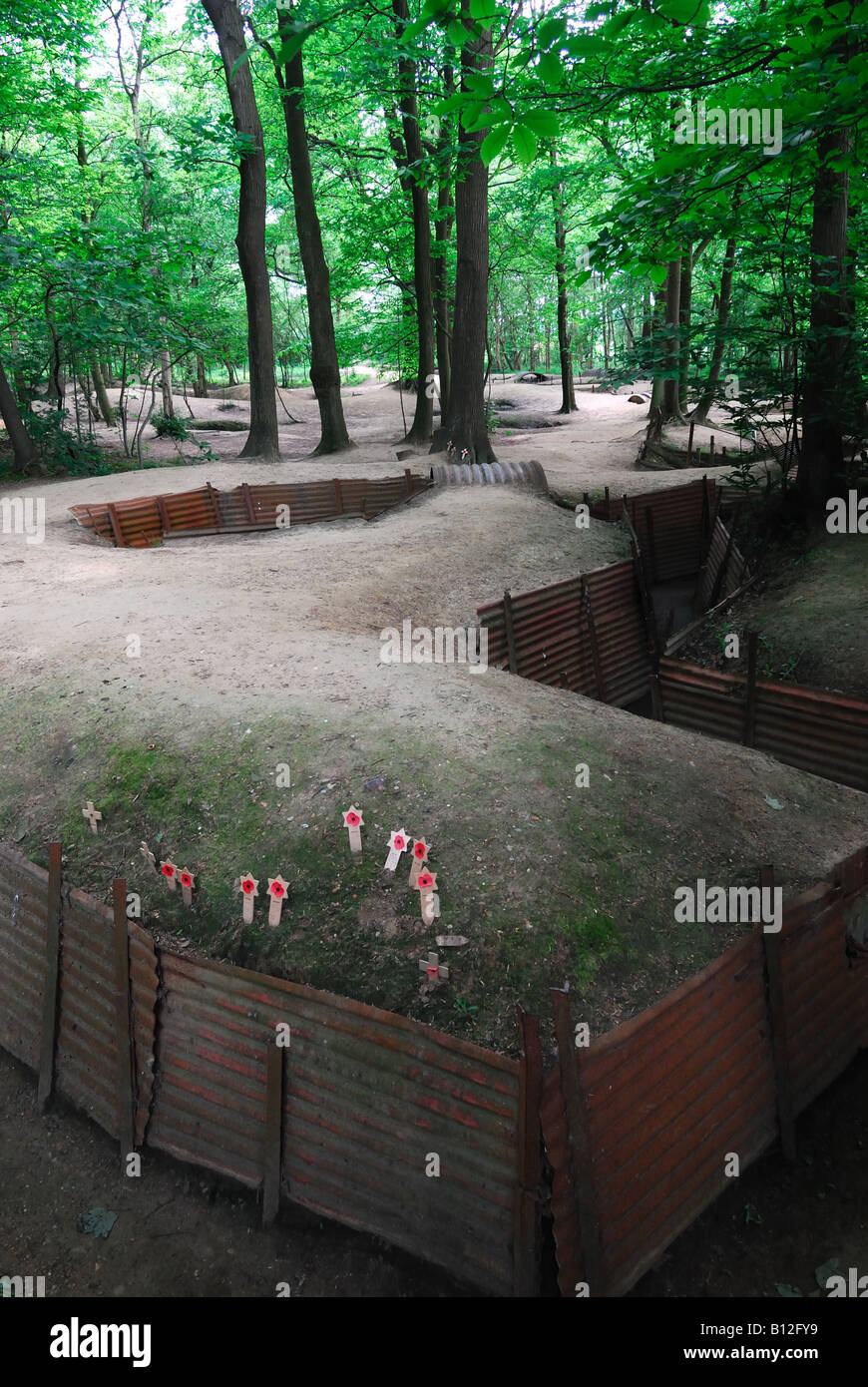 Preserved World War One trenches at Hill 62 Ypres Salient Stock Photo ...