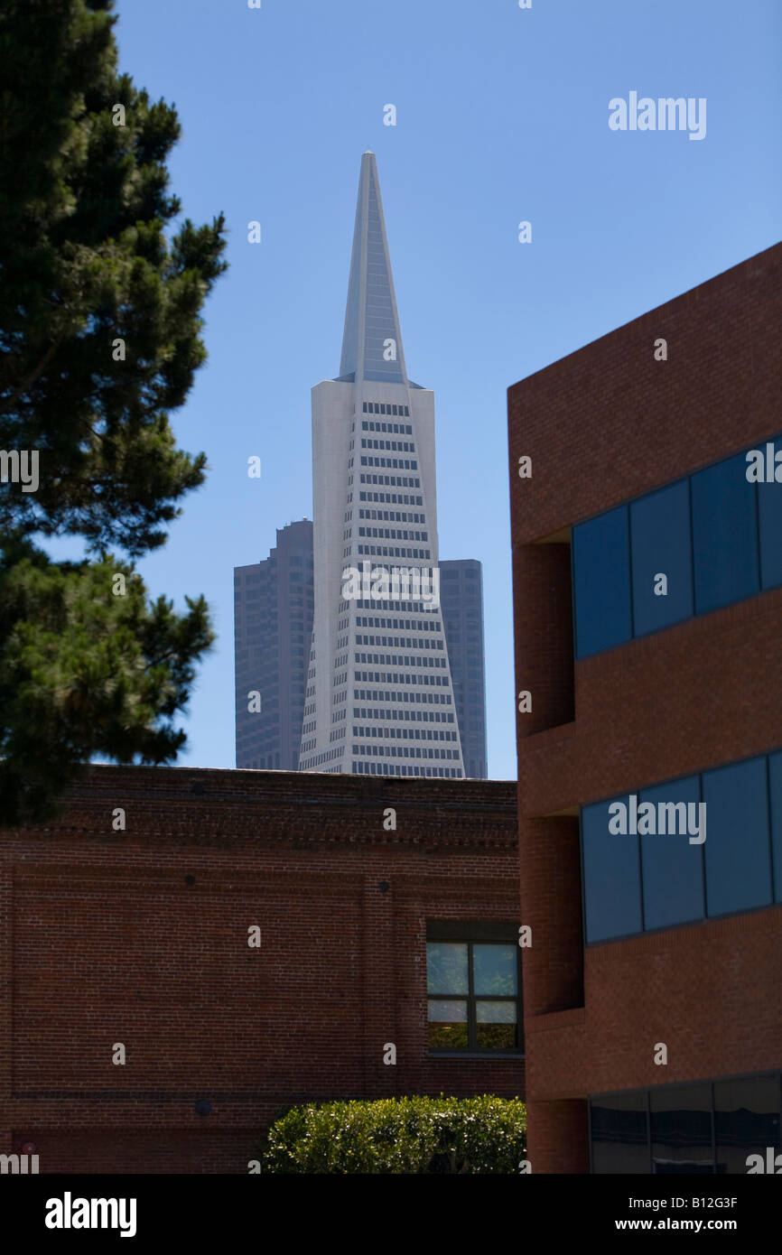 Transamerica Pyramid building San Francisco California USA Stock Photo ...