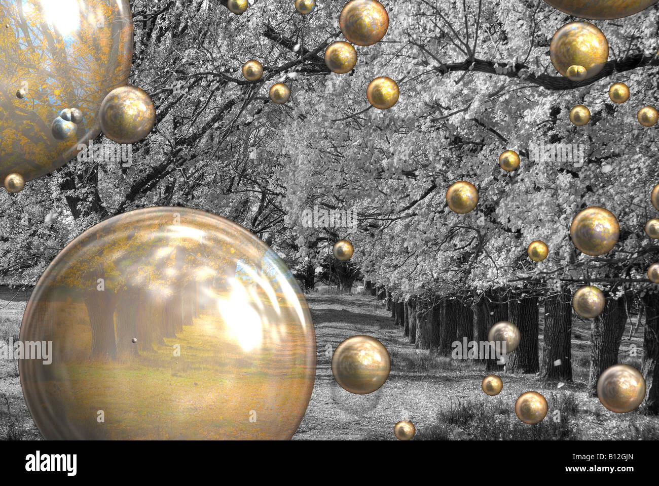 abstract art image of bubbles reflecting an autumn scene Stock Photo ...