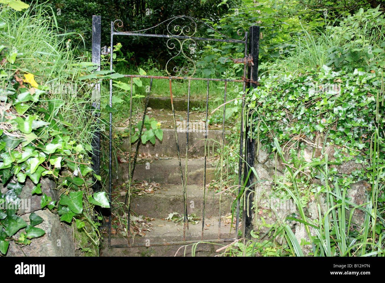 A broken metal gate in front of a path through an overgrown garden ...