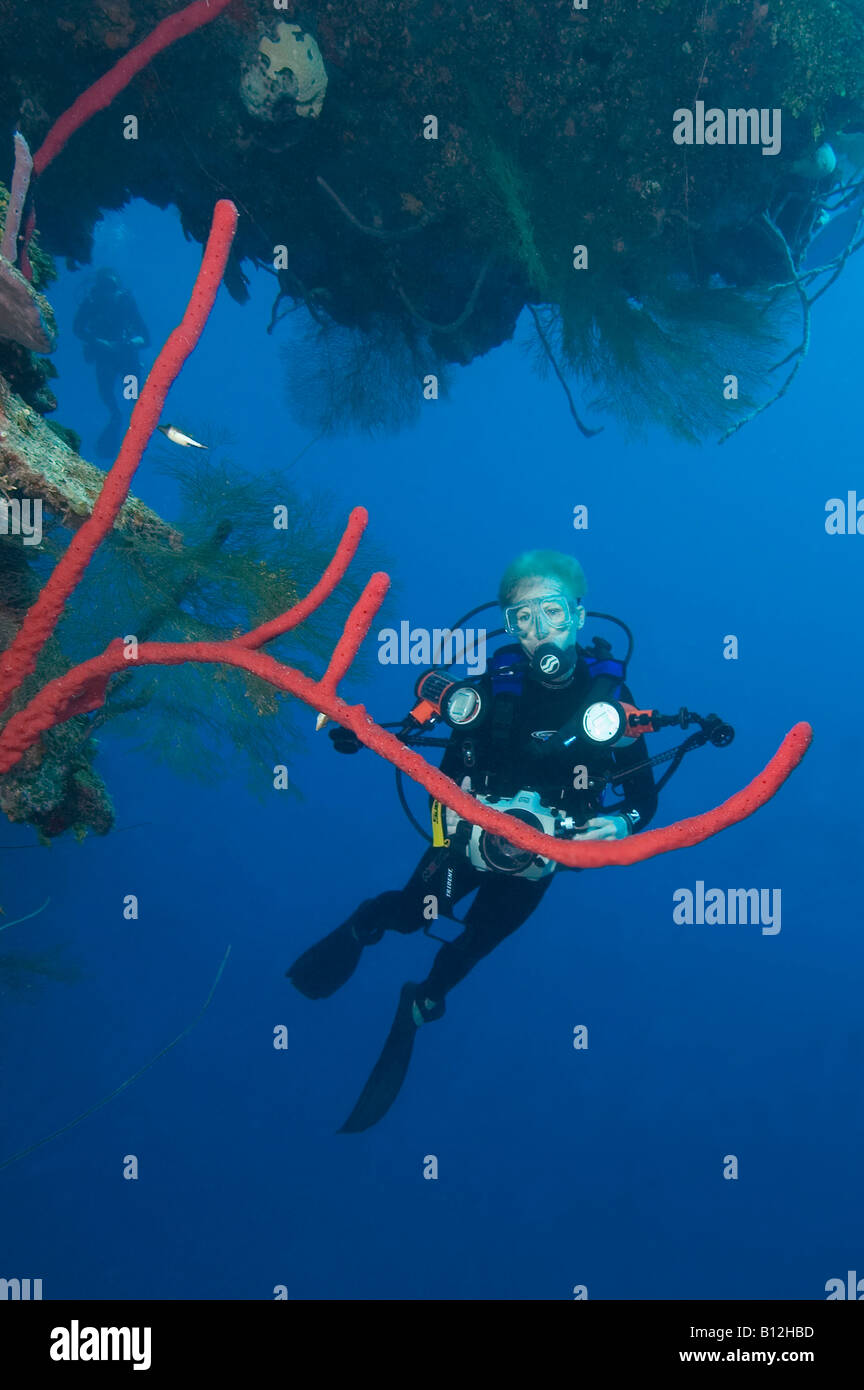 Female underwater photographer and a red rope sponge on a wall in ...