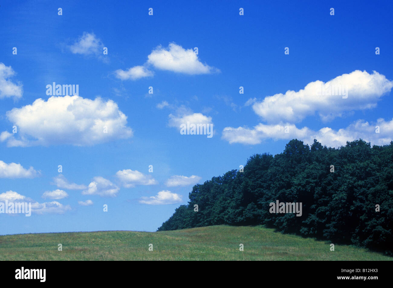 GREEN FIELDS RURAL LANDSCAPE WITH CLOUDS Stock Photo - Alamy