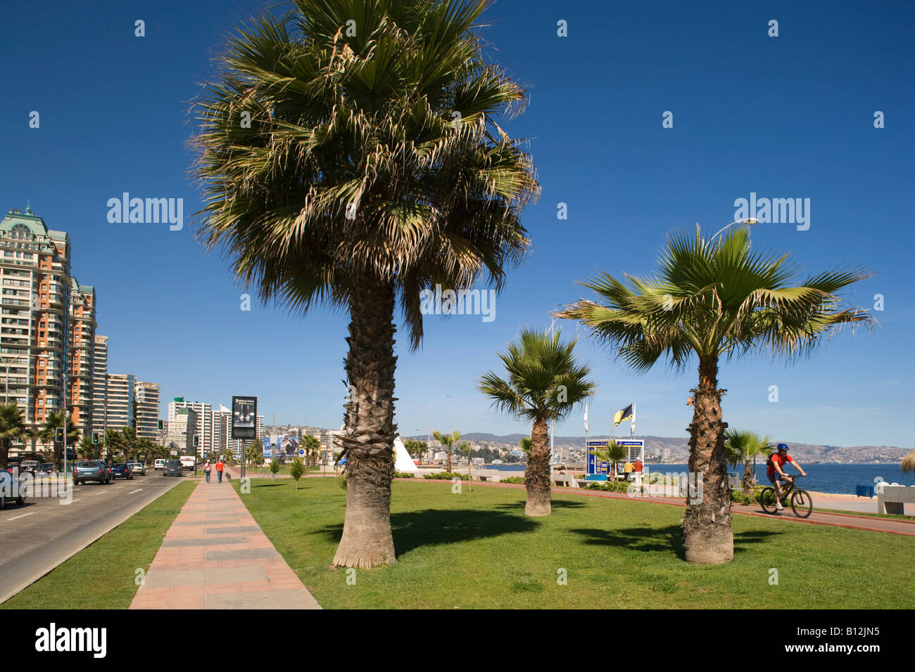 PALM TREES ON WATERFRONT PUERTO PACIFICO BUILDINGS VINA DEL MAR CHILE ...