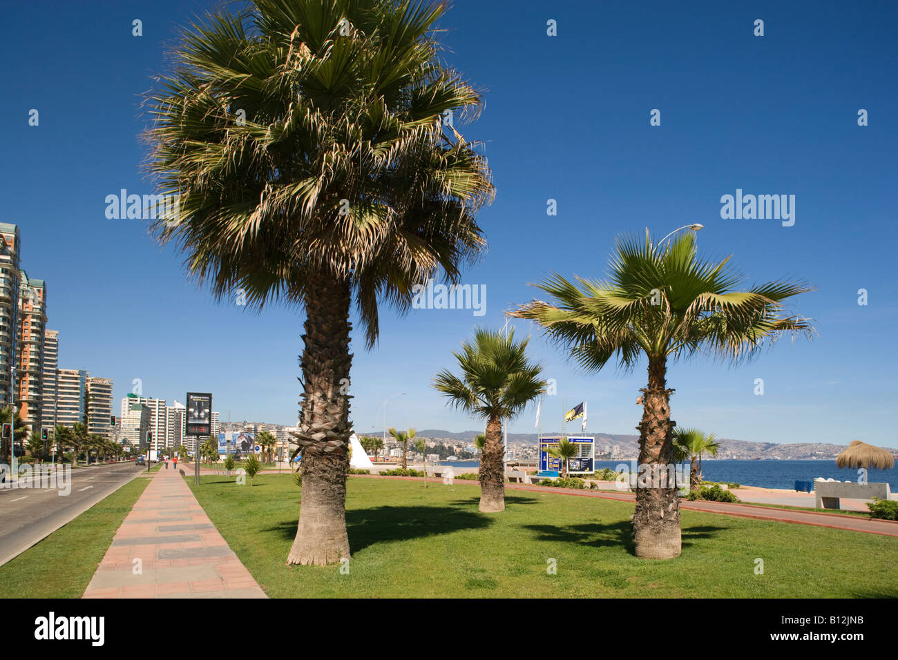 PALM TREES ON WATERFRONT PUERTO PACIFICO BUILDINGS VINA DEL MAR CHILE ...