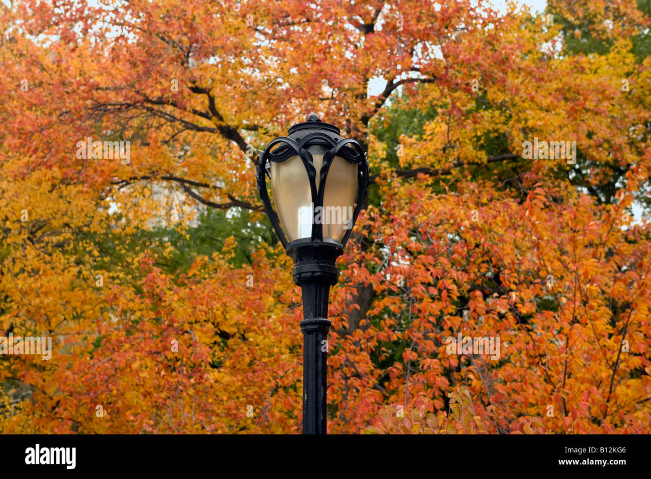 LAMP CENTRAL PARK MANHATTAN NEW YORK CITY USA Stock Photo - Alamy