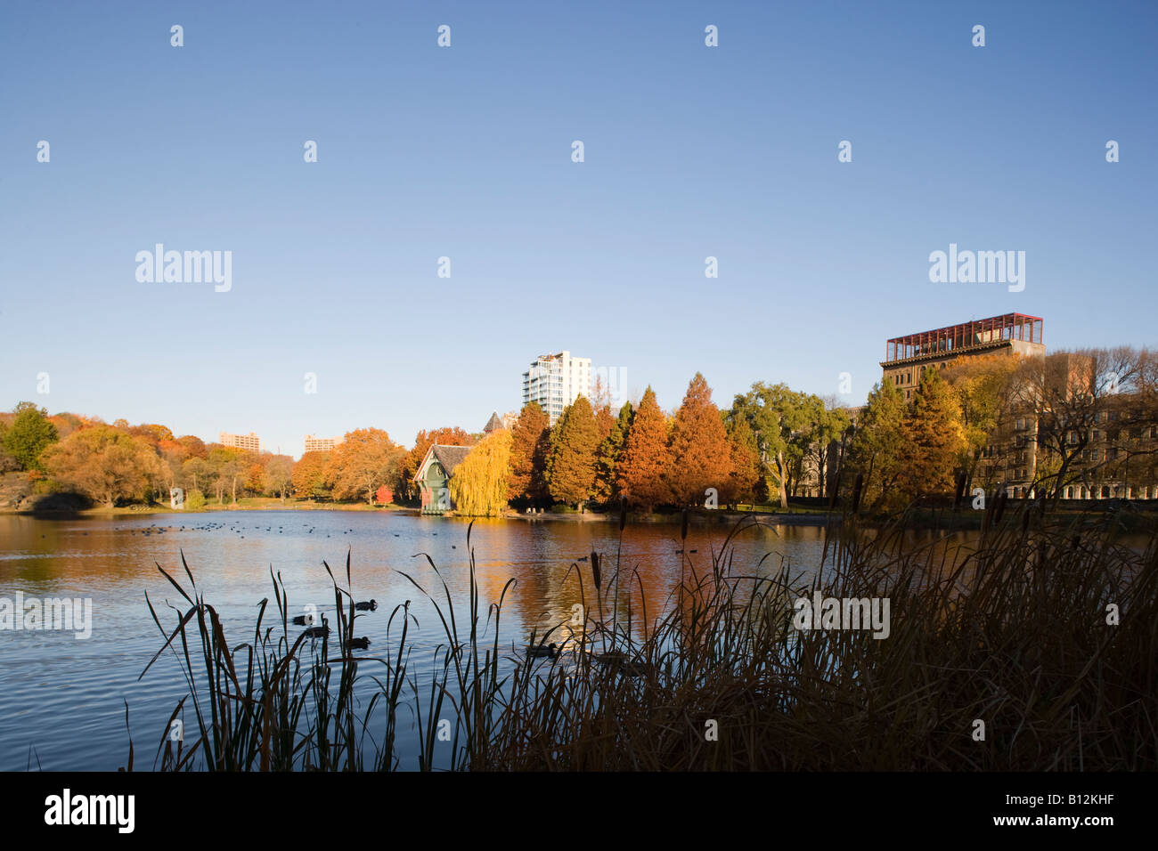 HARLEM MEER CENTRAL PARK NORTH MANHATTAN NEW YORK CITY USA Stock Photo ...