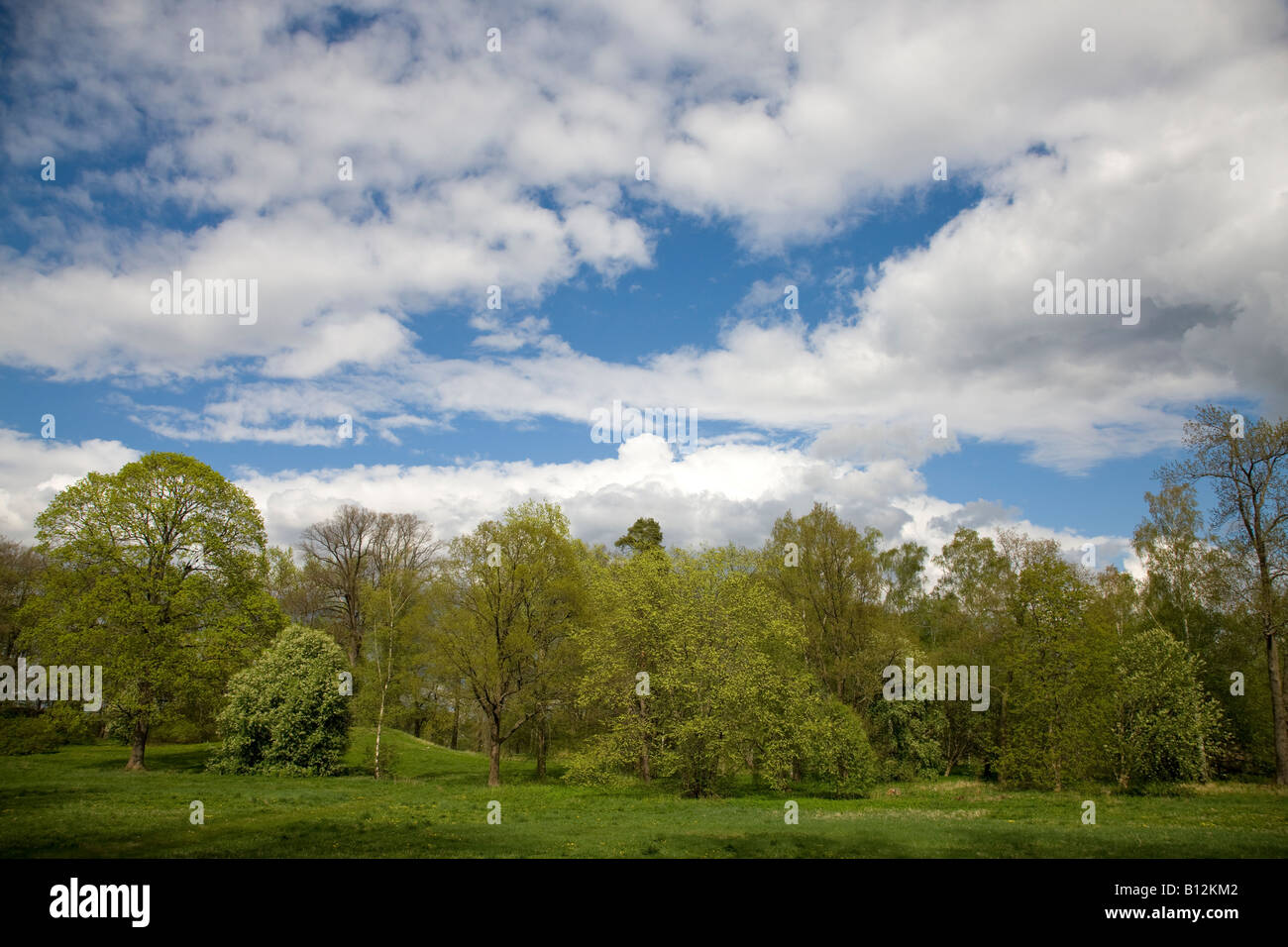 Haga park stockholm hi-res stock photography and images - Alamy