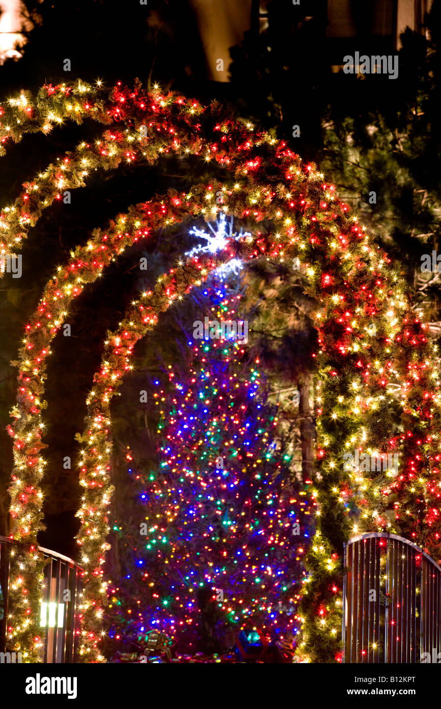 Tree arches hi-res stock photography and images - Alamy