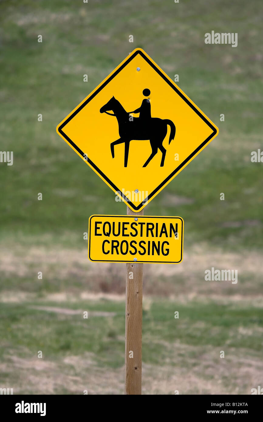 Equestrian crossing hi-res stock photography and images - Alamy