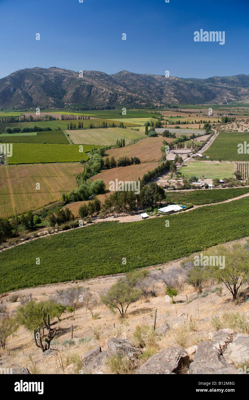 VINEYARDS PUQUILAY COLCHAGUA VALLEY CHILE Stock Photo - Alamy