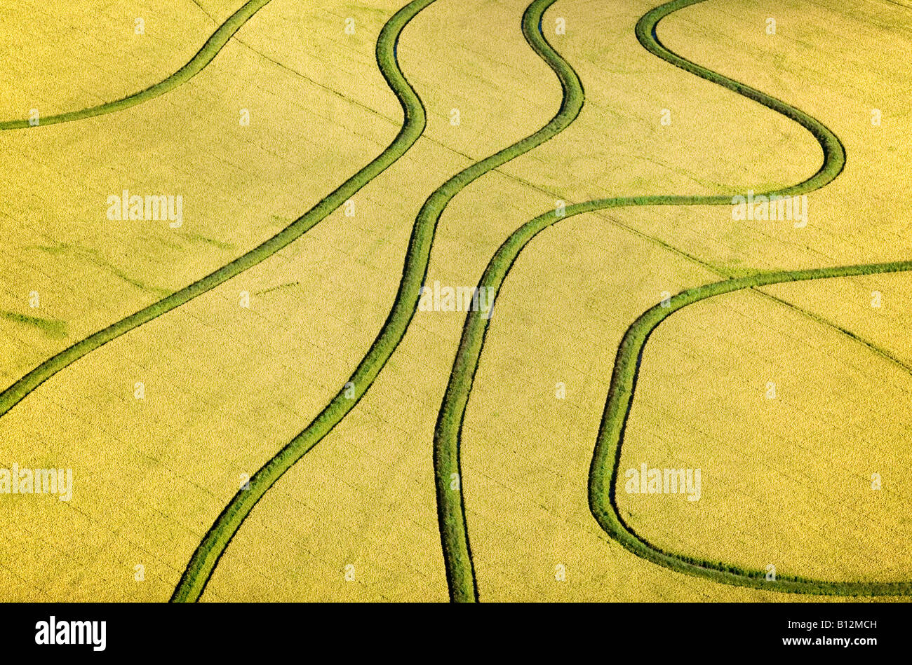 aerial above Texas rice field Wharton county Texas Stock Photo - Alamy