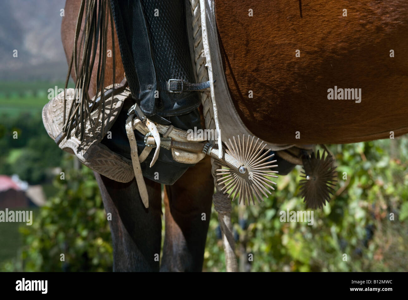 SPURS HUASO CHILEAN COWBOY Stock Photo - Alamy