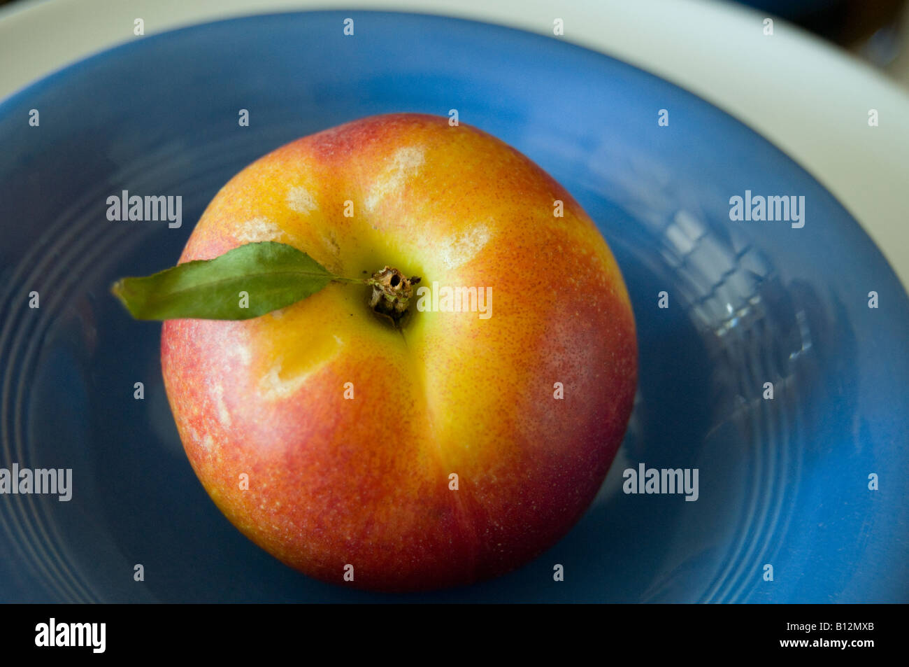 Nectarine pit hi-res stock photography and images - Alamy