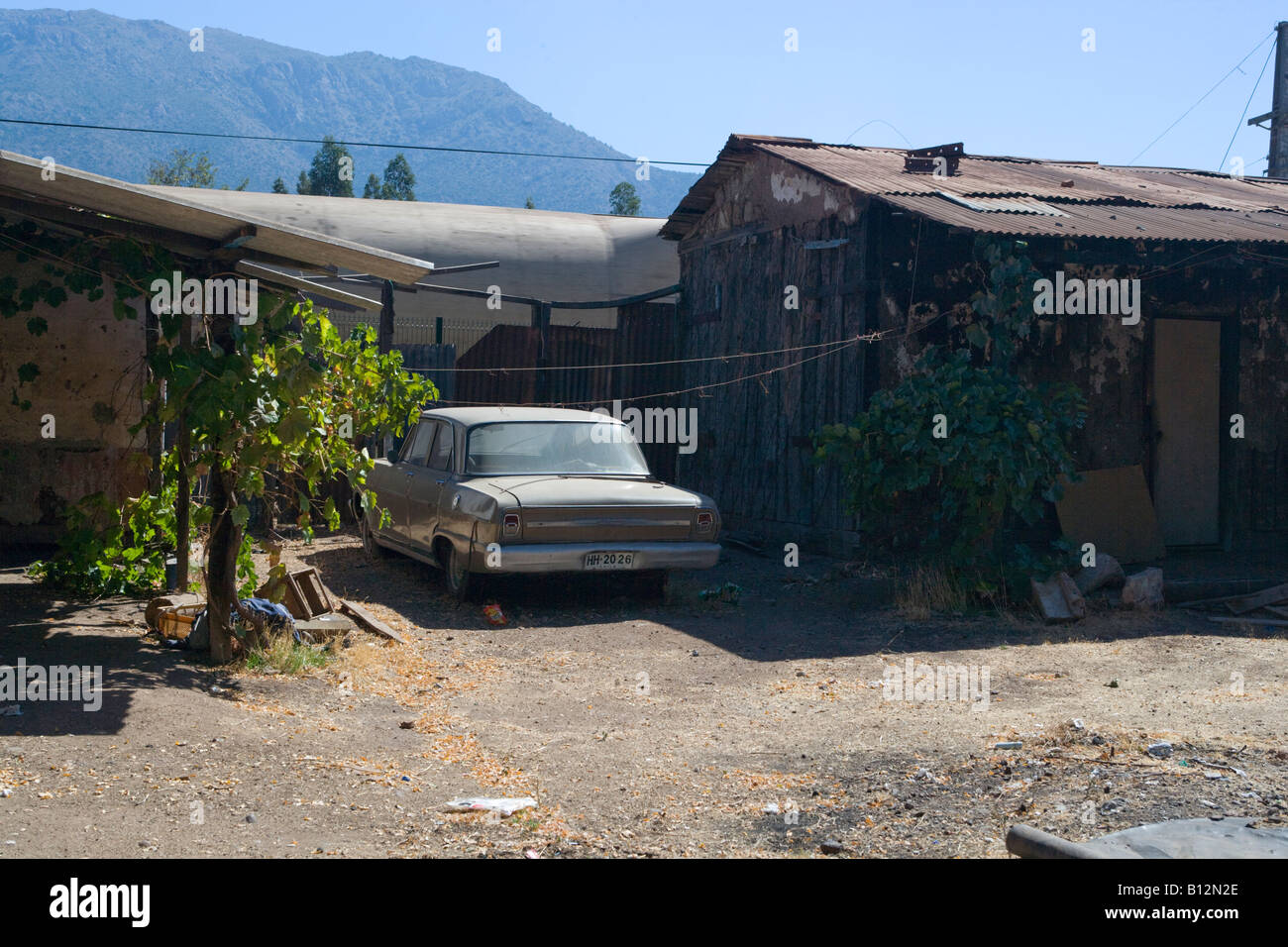 Llay llay hi-res stock photography and images - Alamy