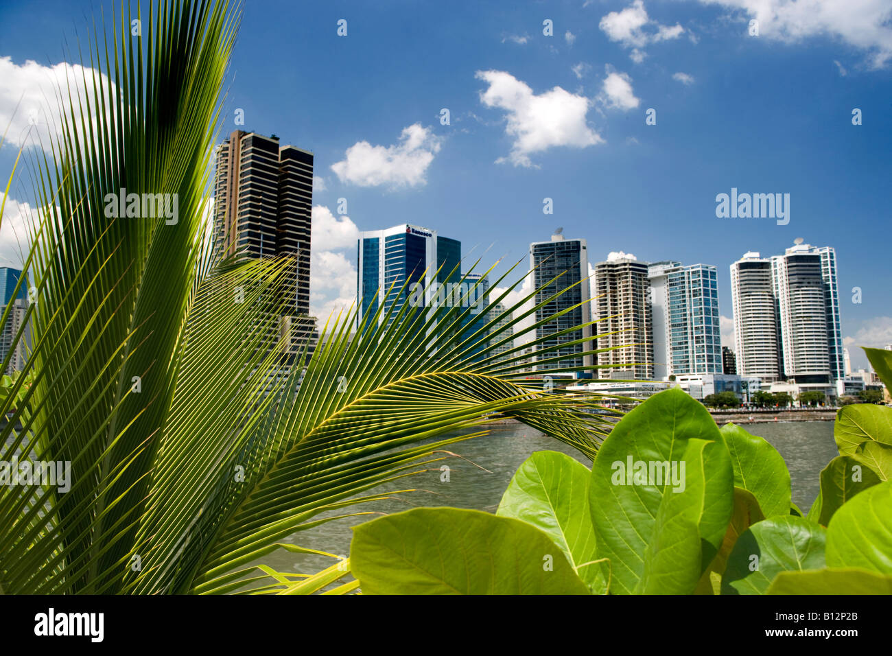 WATERFRONT SKYLINE AVENIDA BALBOA PANAMA CITY REPUBLIC OF PANAMA Stock ...