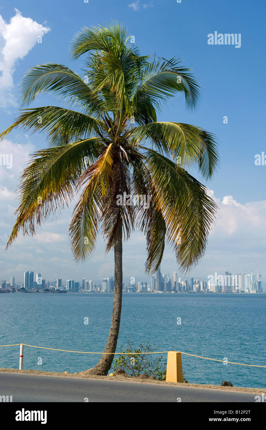 BAY SKYLINE PALMS AMADOR CAUSEWAY PANAMA CITY REPUBLIC OF PANAMA Stock ...