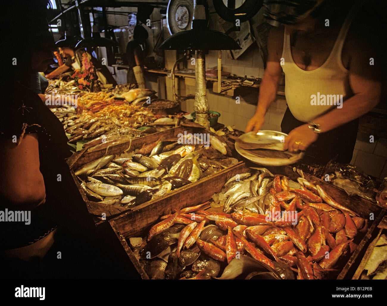 Covered market with displays of fresh fish Stock Photo - Alamy