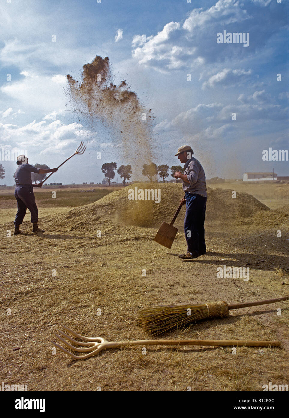 Winnowing hi-res stock photography and images - Alamy
