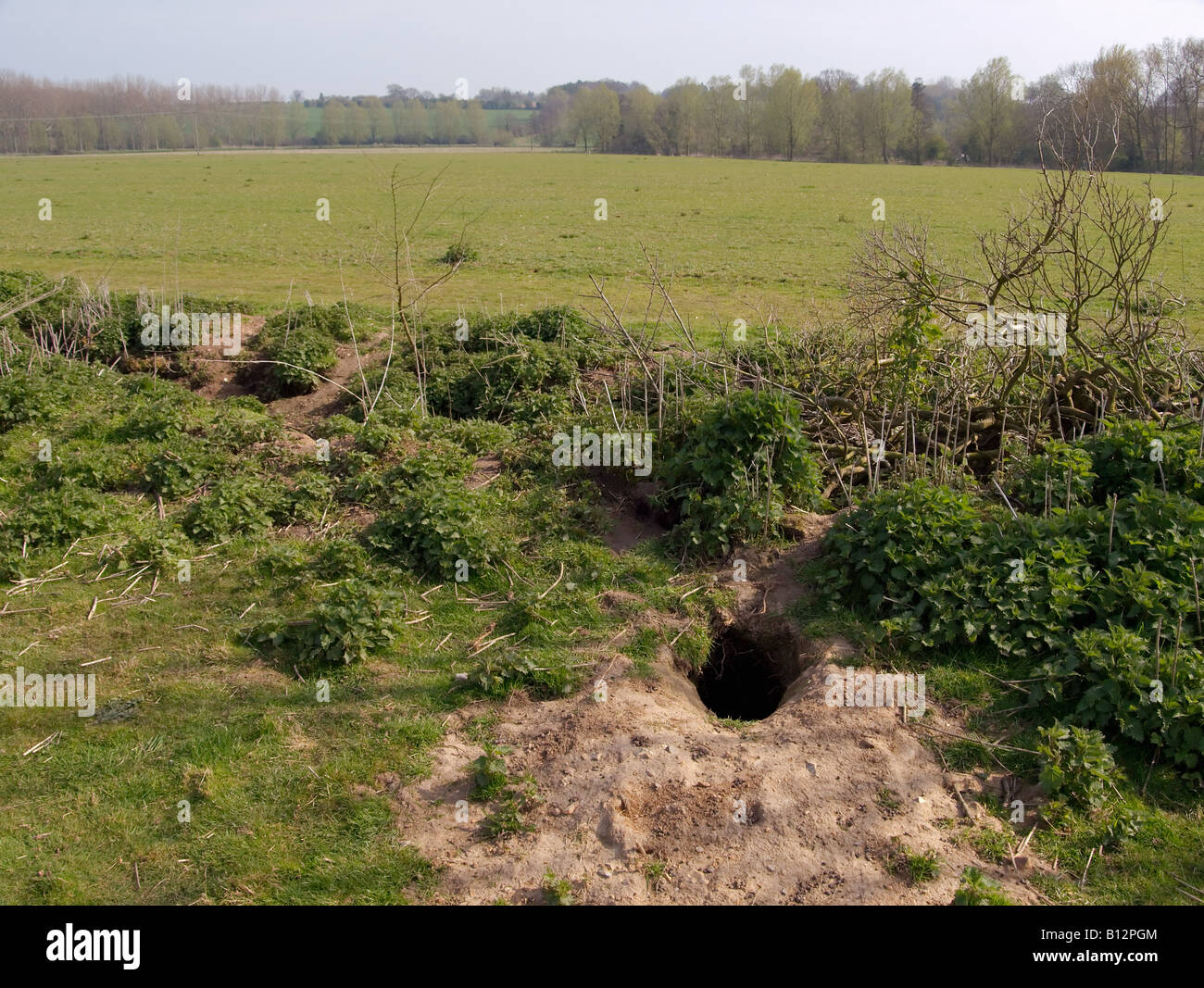 Rabbit holes uk hi-res stock photography and images - Alamy