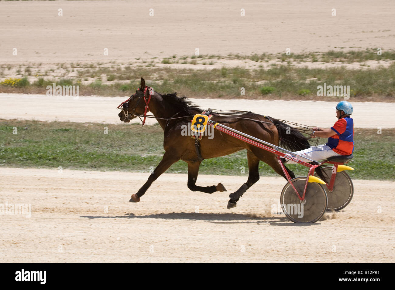 Cinder and sand trot racing at Marsa racetrack, Trotters, Horse-racing ...