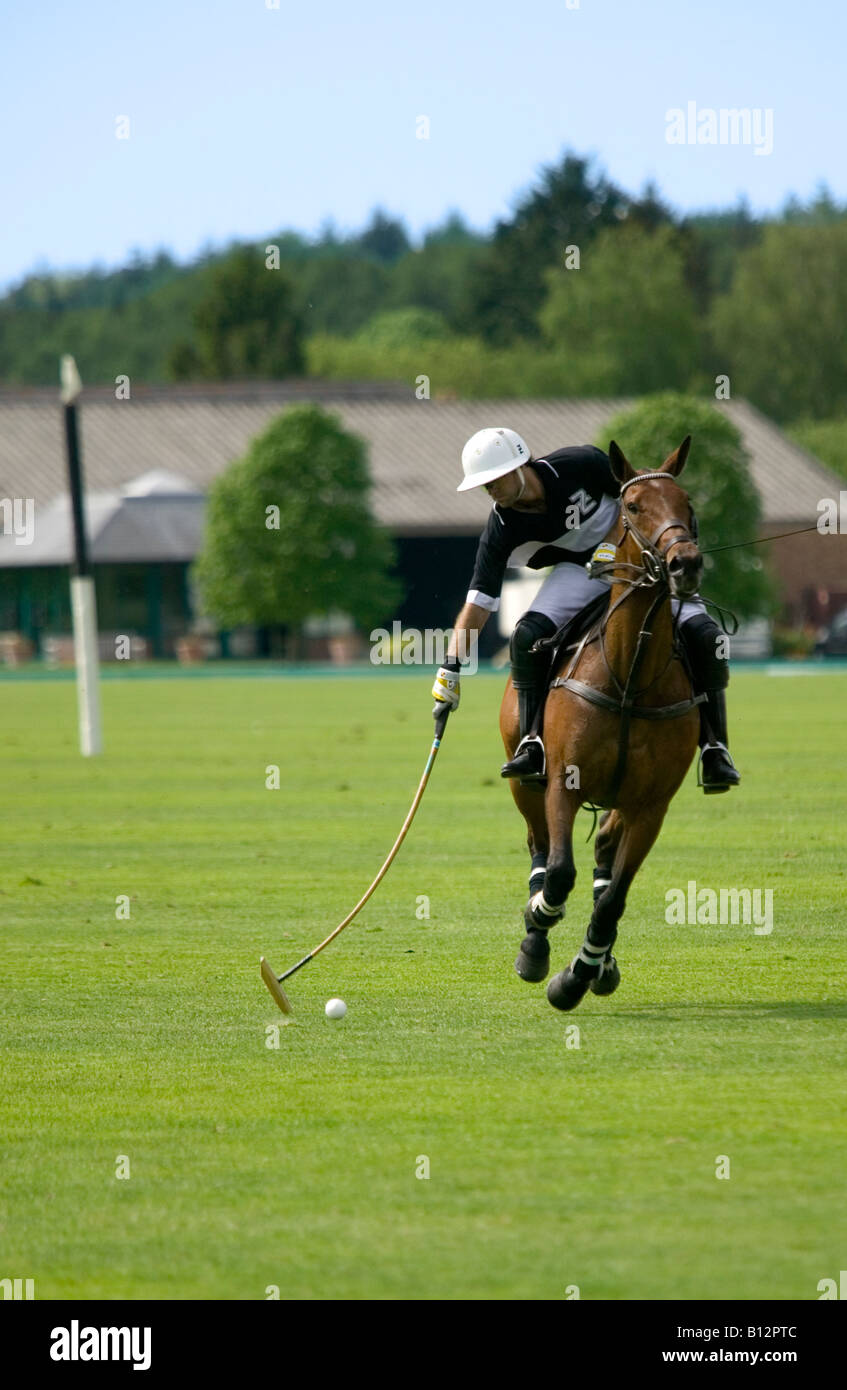 Polo player at full speed Gonzalo Pieres Stock Photo - Alamy