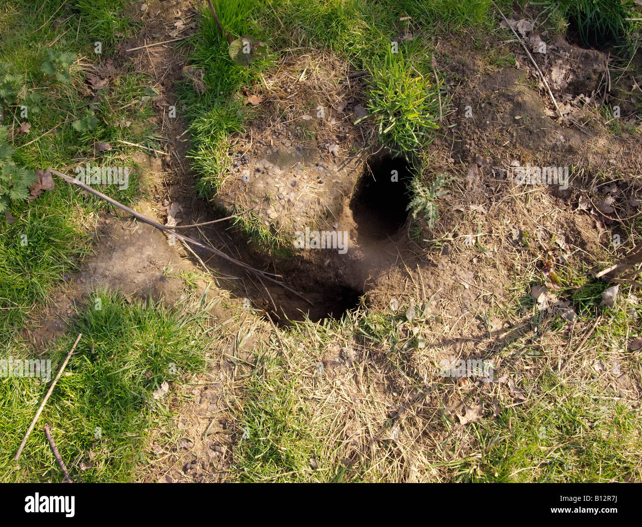 Rabbit Warren Uk Stock Photos & Rabbit Warren Uk Stock Images - Alamy