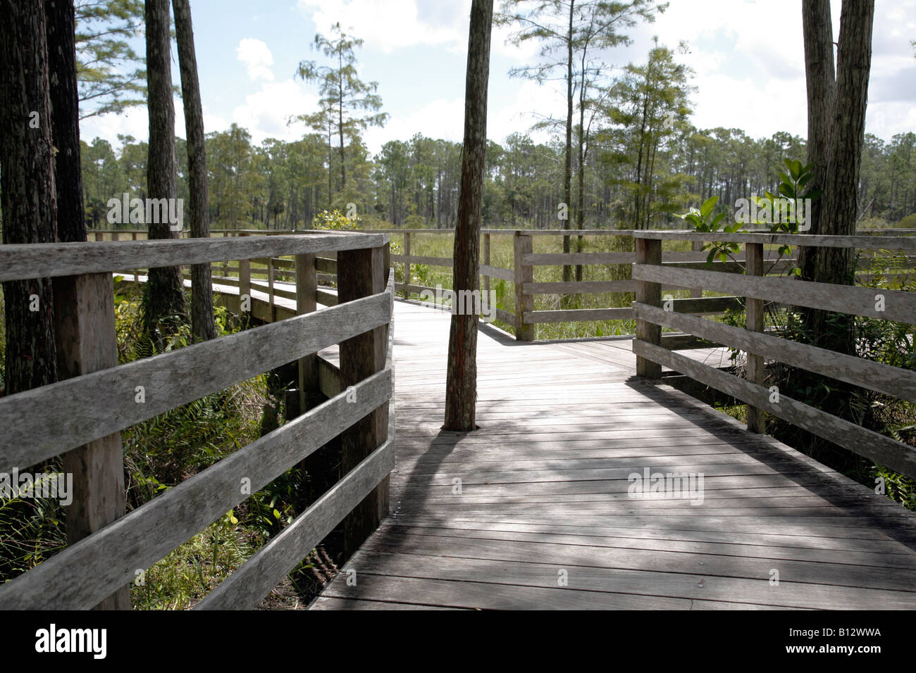 Corkscrew audubon wildlife sanctuary hi-res stock photography and ...
