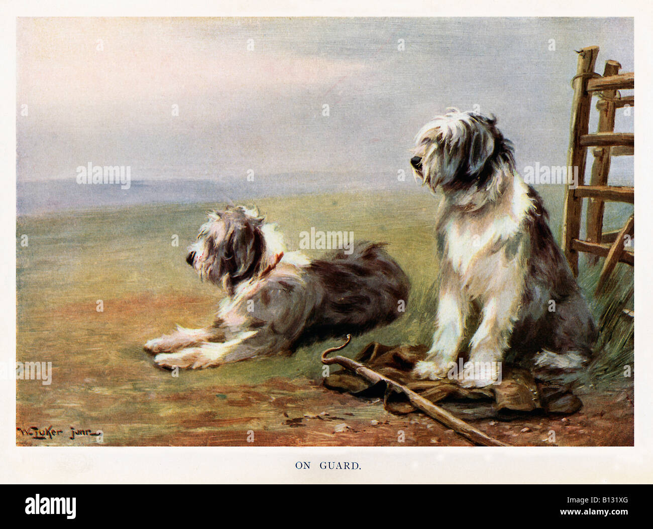 English working dogs painting hi-res stock photography and images - Alamy