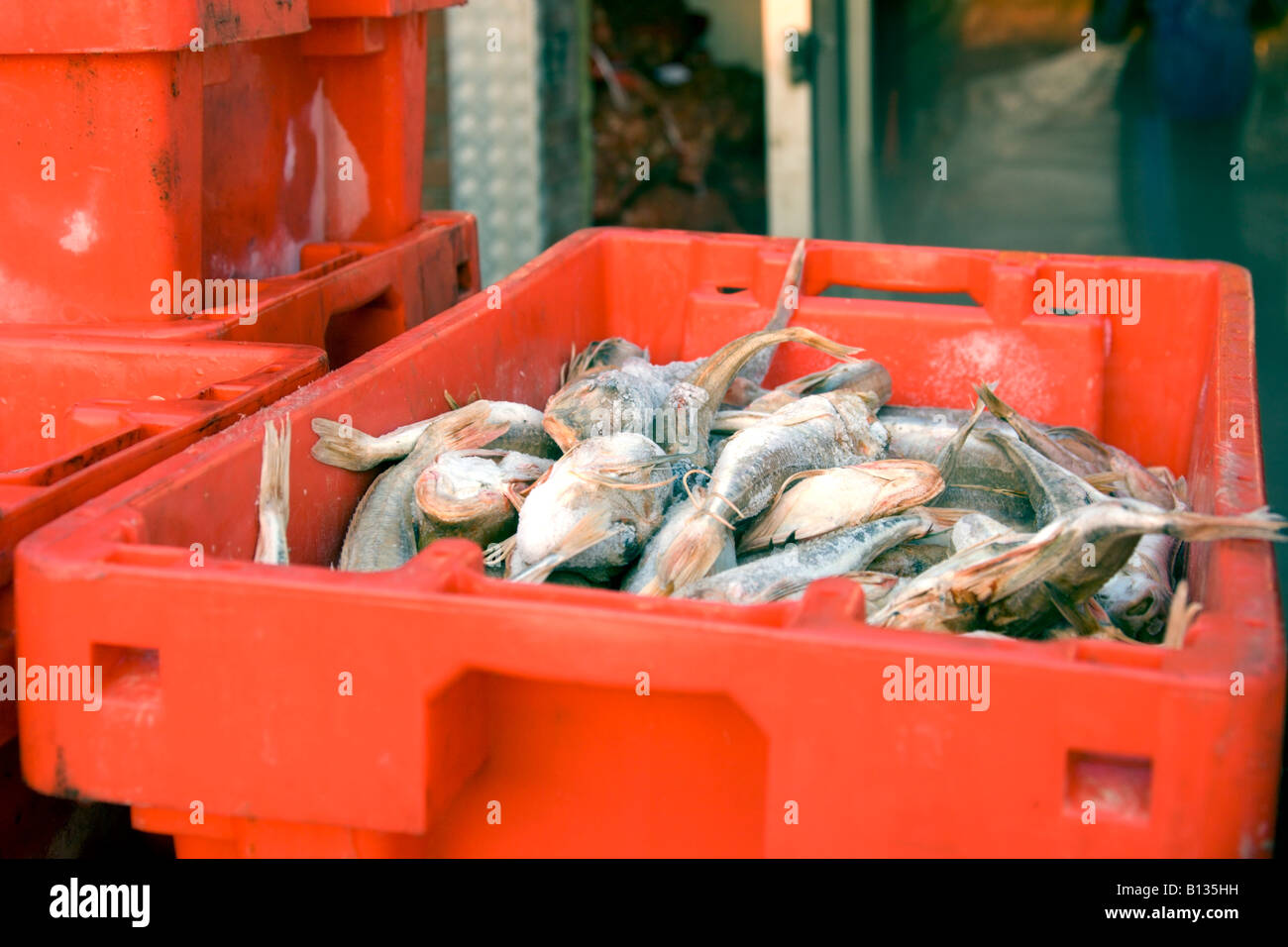 Fishing industry catch quota quotas hi-res stock photography and images ...