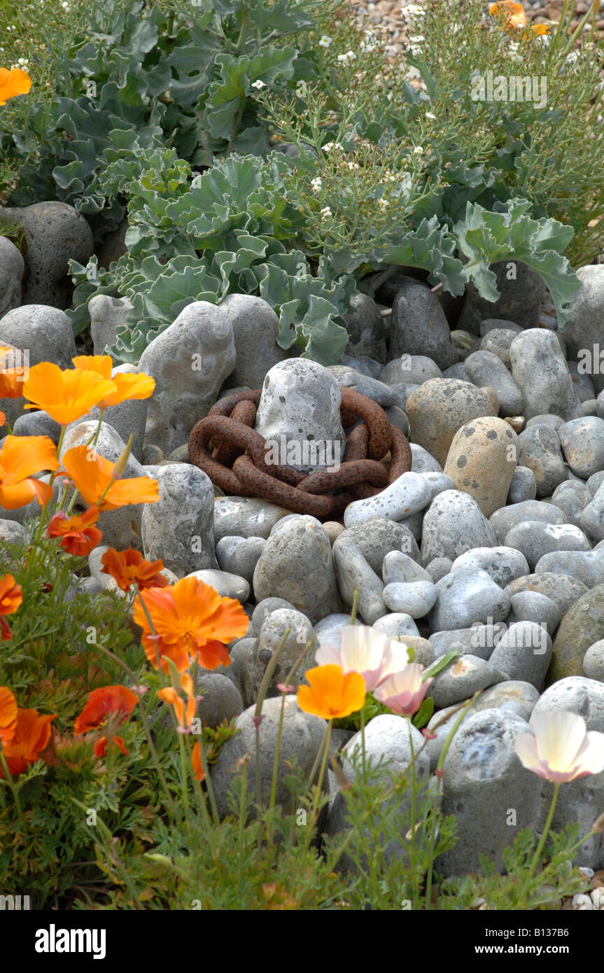 Derek Jarman's garden in June, Dungeness, Kent, England Stock Photo - Alamy