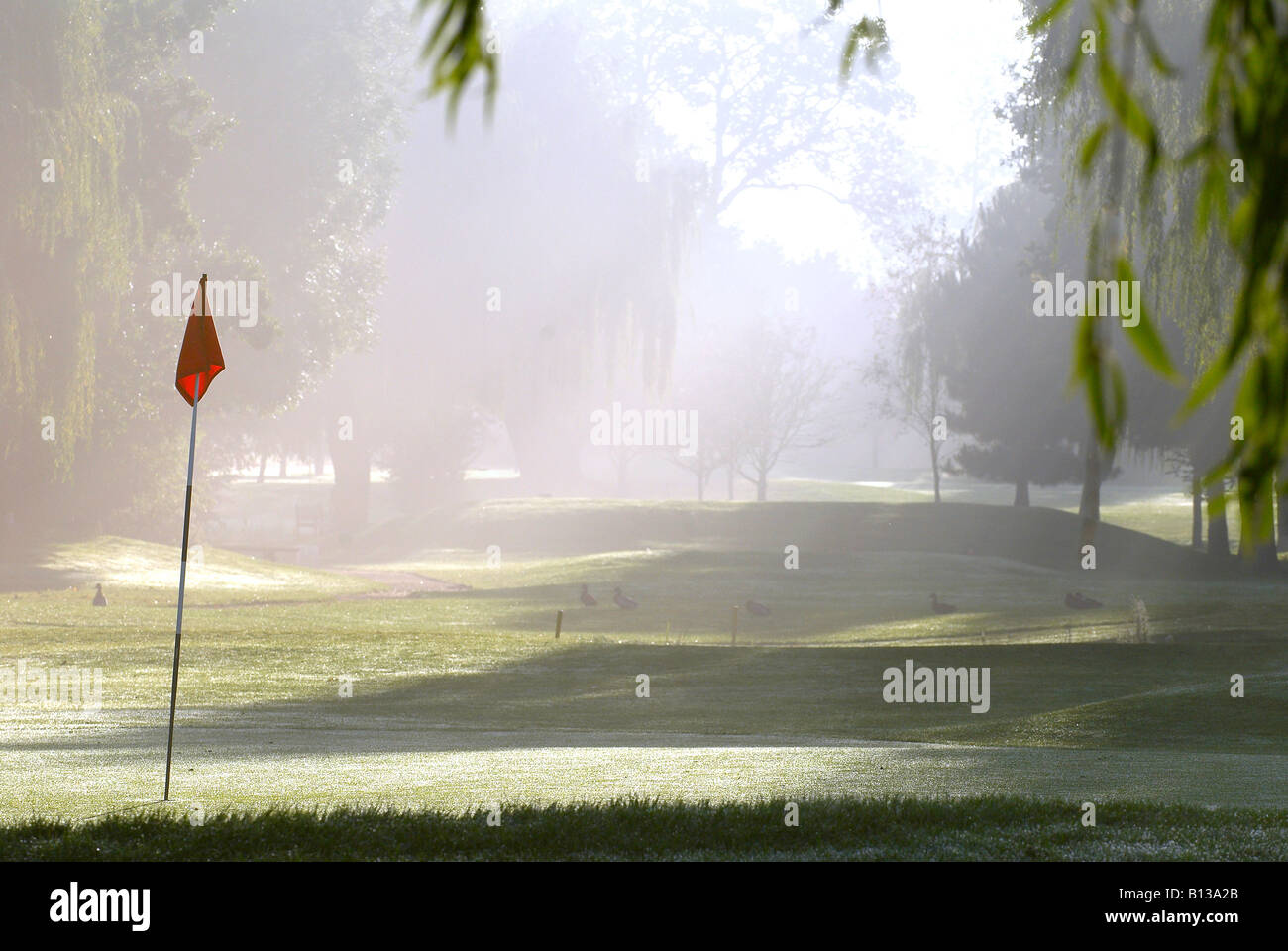 Early morning golf course spring hi-res stock photography and images ...