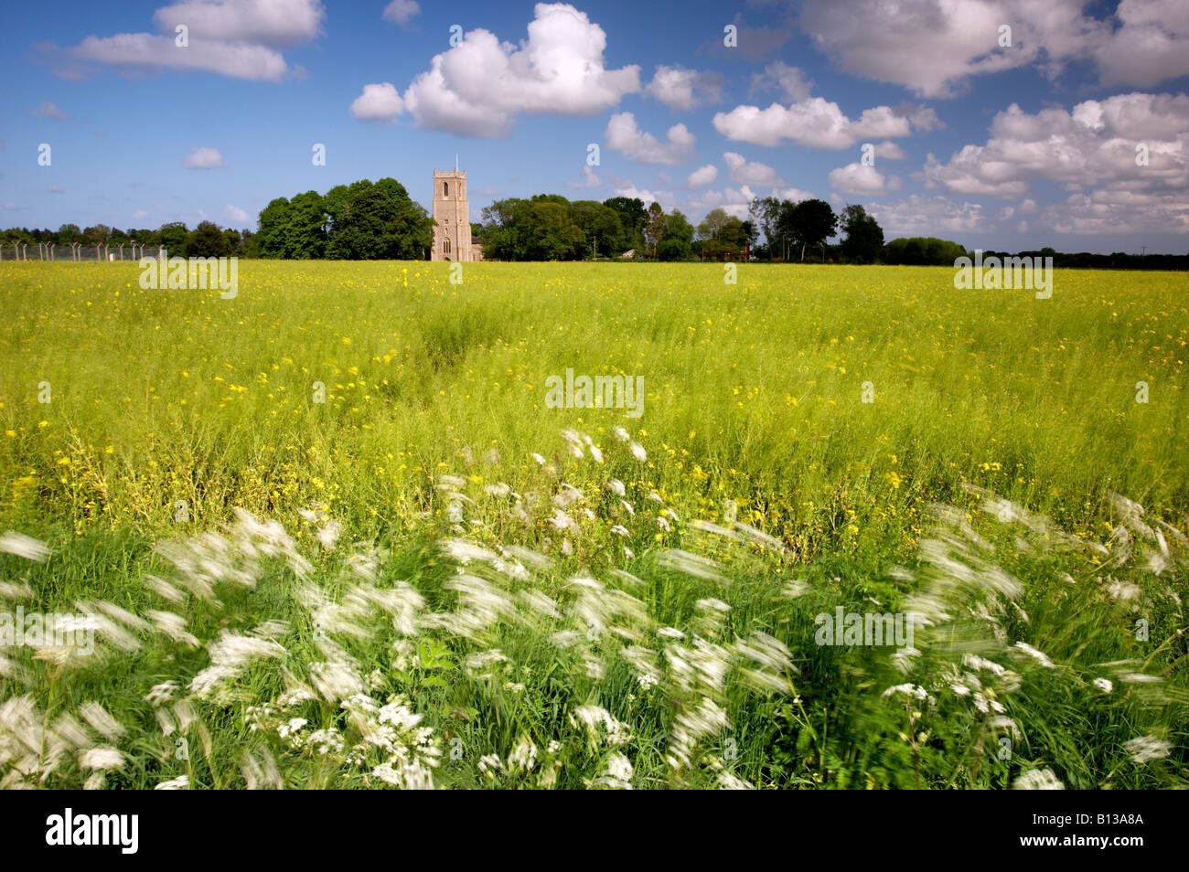 Traditional Norfolk Flint Church of St Michael & All Angels Barton Turf ...