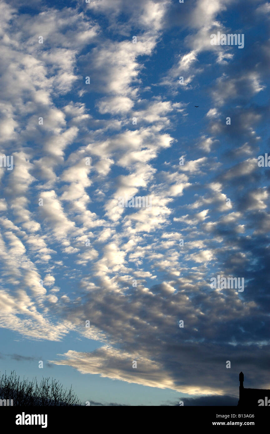 Blue Sky with Cumulus Clouds Stock Photo - Alamy