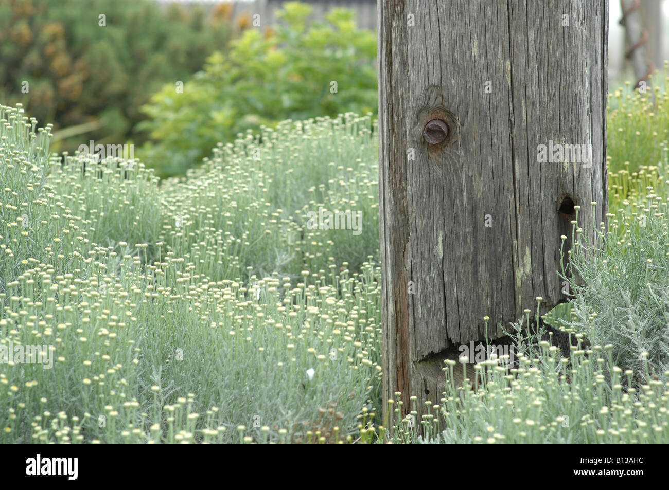 Derek Jarmans Jarman Film Director Cottage High Resolution Stock ...